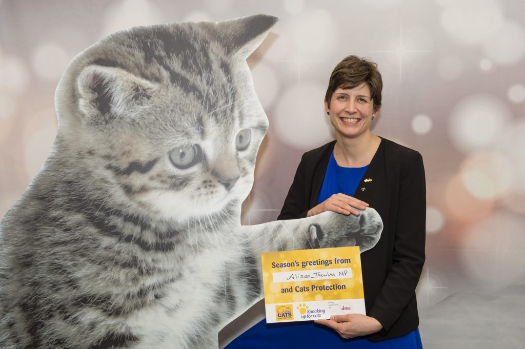Alison Thewliss MP joins in feline festivities at parliamentary ...